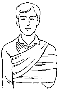Standard First Aid Course - Chapter Six - Bones, Joints and Muscles