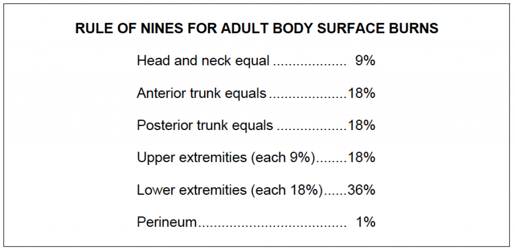3-16 Thermal Burns: The Rule of Nines - Wound Care