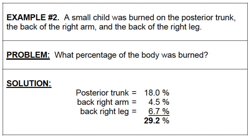 3-16 Thermal Burns: The Rule of Nines - Wound Care